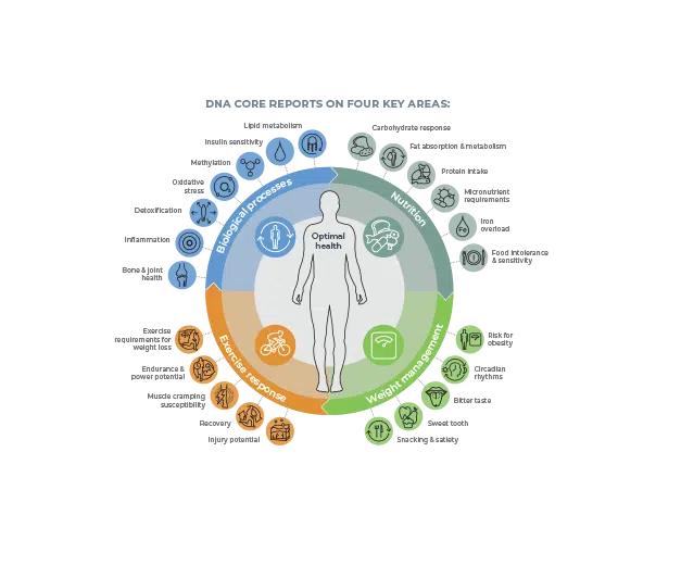 DNAlysis | DNA Core | Explore Your Health with Genetic Insights